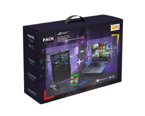 Pack PC Portable Gaming Asus ROG StrixG713 17,3"FHD 144 Hz AMD Ryzen 7 ...